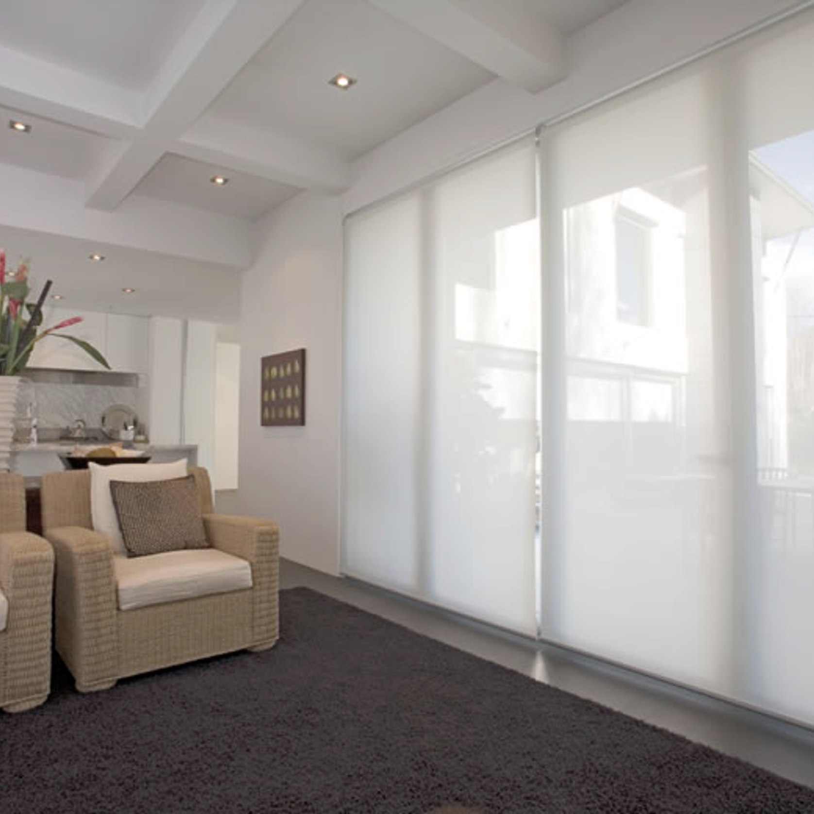 Double Roller Blinds | ArchiPro NZ