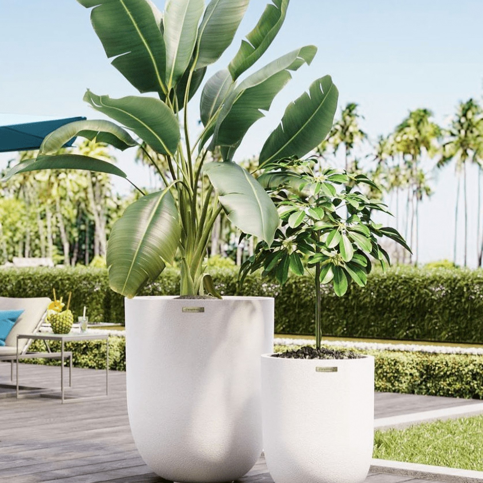 Franoma - Perth Planter | ArchiPro NZ