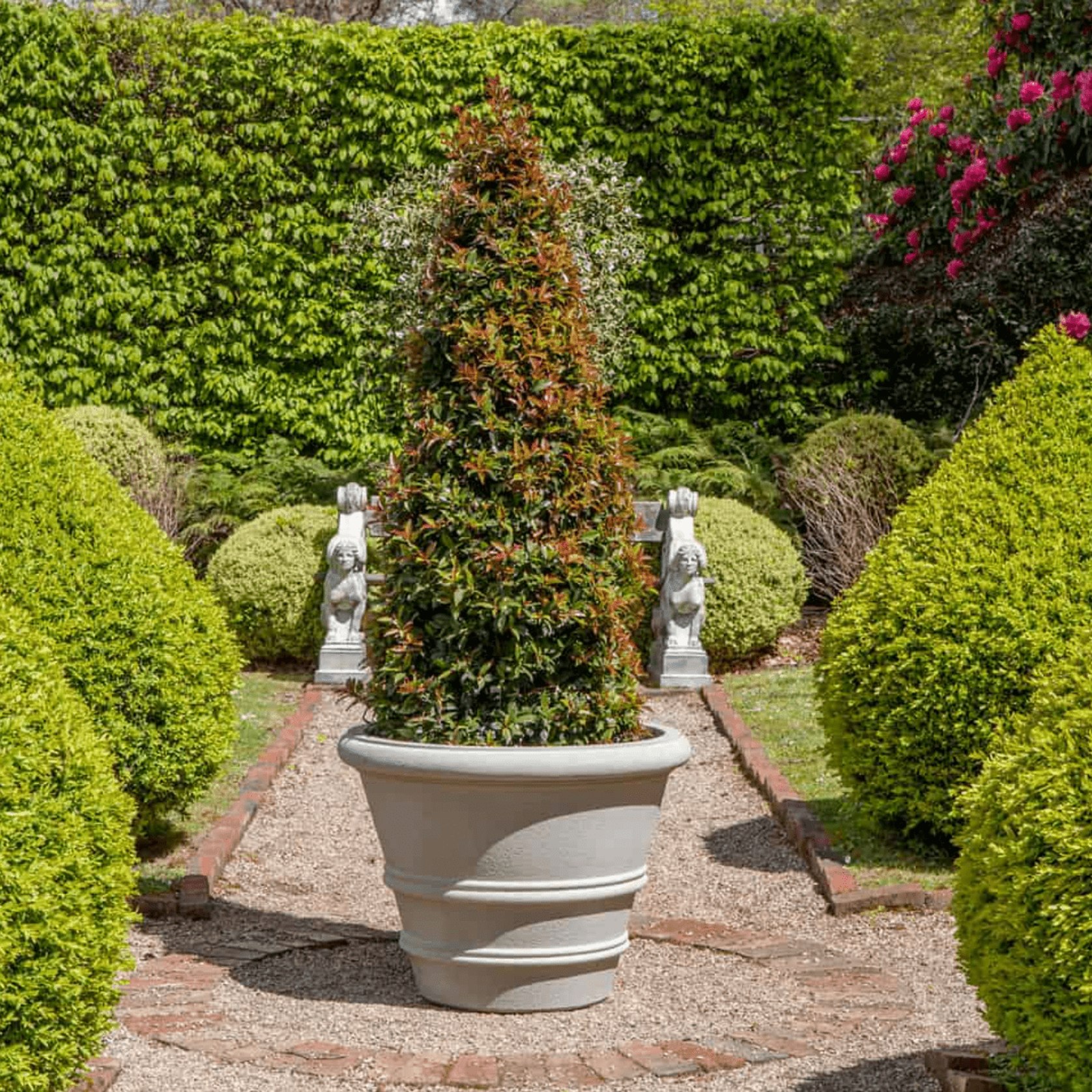 Rolled Rim Planter | ArchiPro NZ
