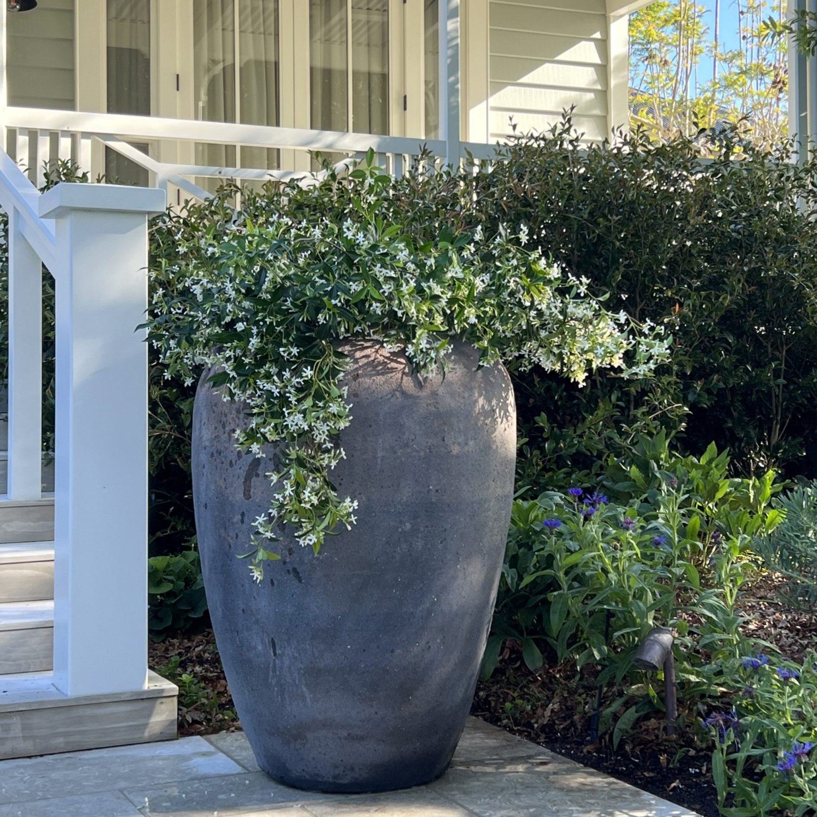 Old Stone - Pickle Jar | ArchiPro NZ