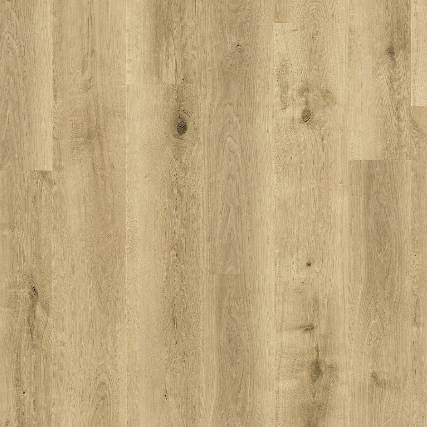Titan Hybrid Spring Valley Oak Vinyl Flooring | ArchiPro NZ