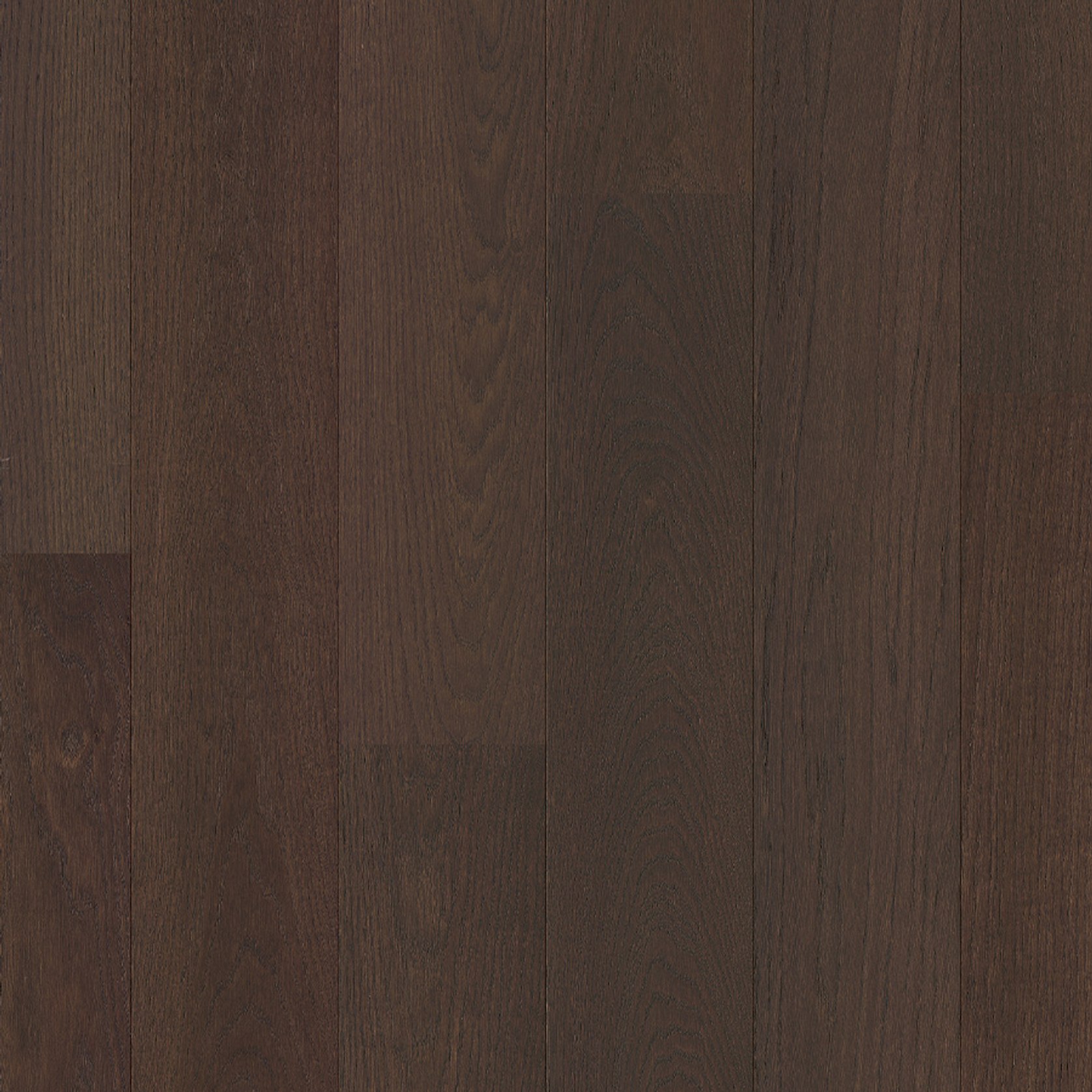 Pergo Gotland Castle Brown Oak | ArchiPro NZ