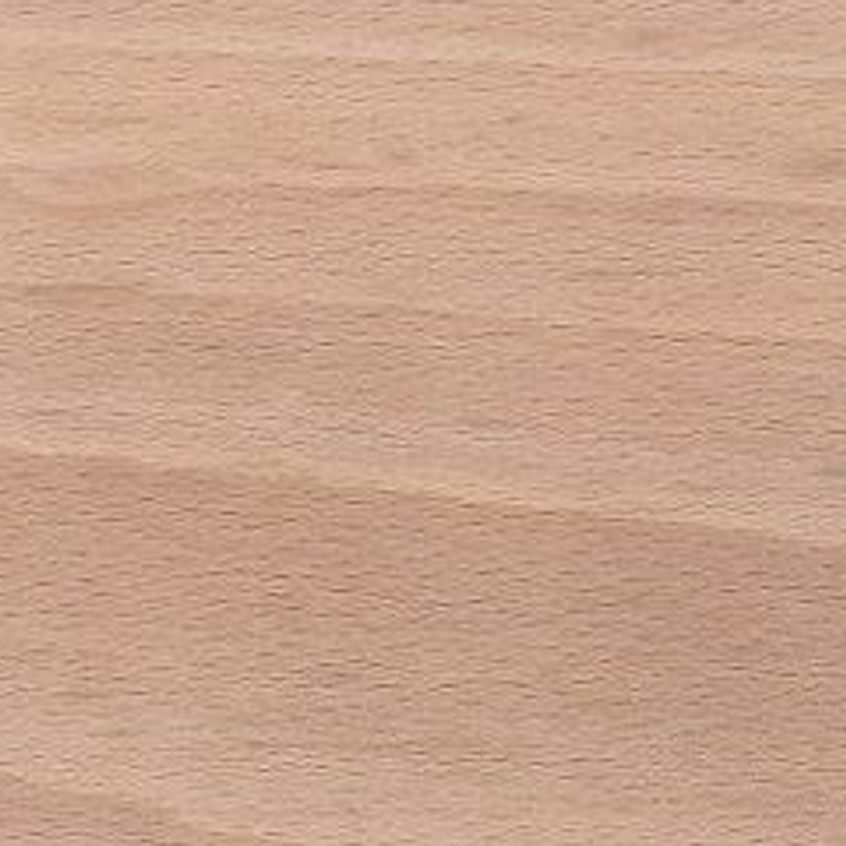 European Beech | ArchiPro NZ