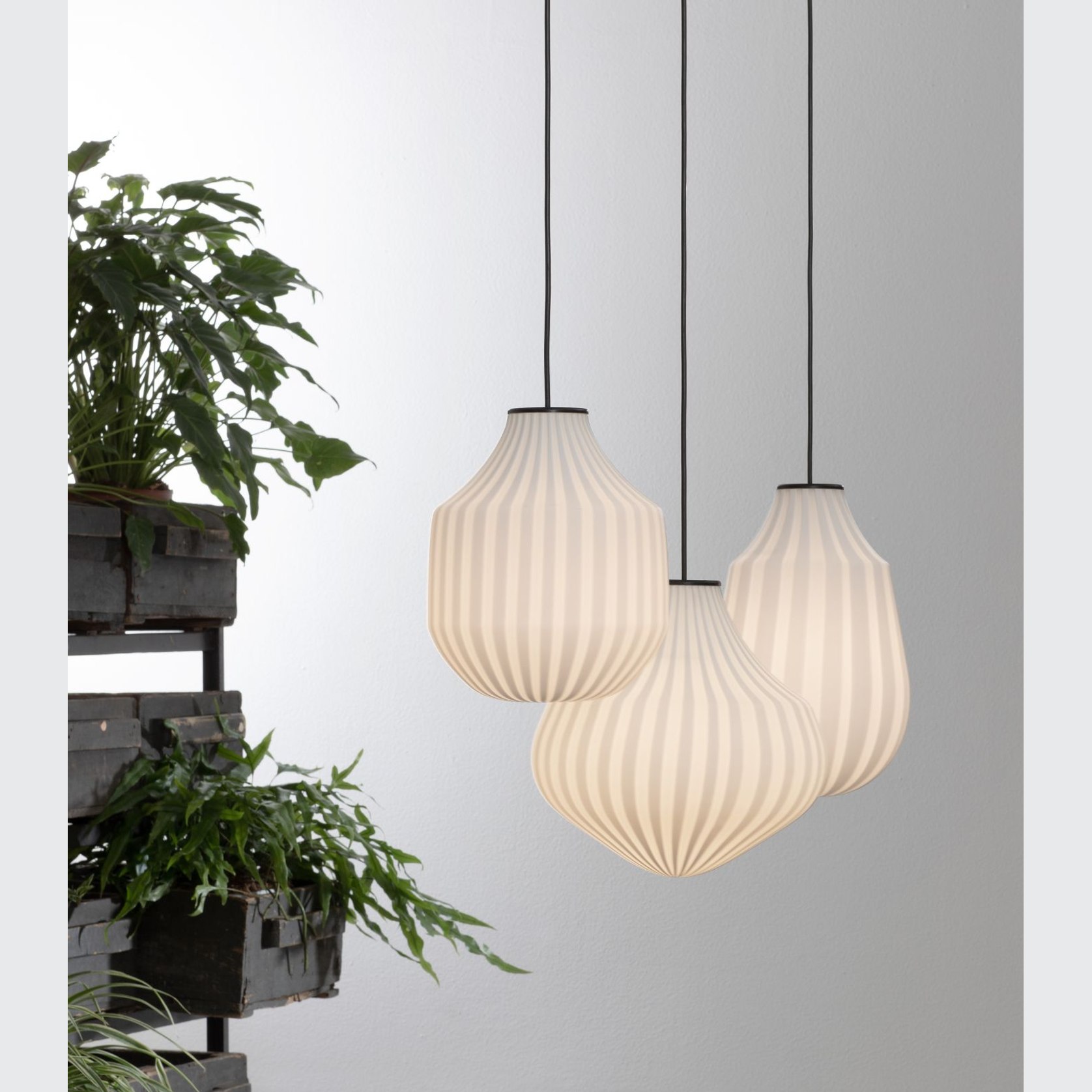 Circus Pendant Light | ArchiPro NZ