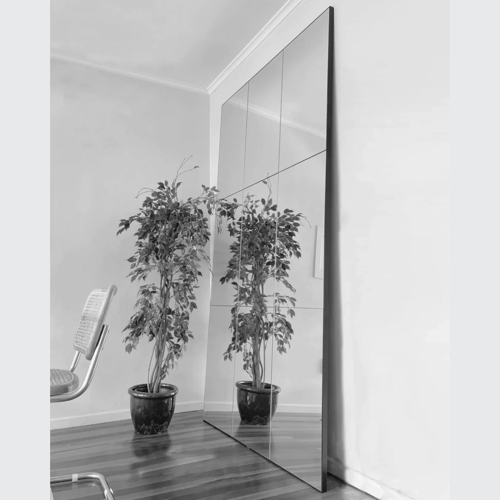Panel Mirror | ArchiPro NZ
