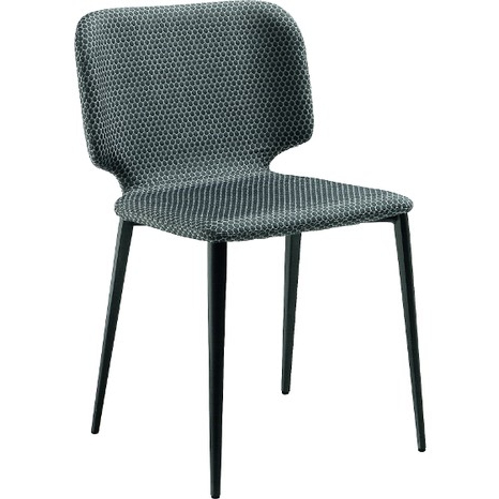 Wrap Dining Chair | ArchiPro NZ