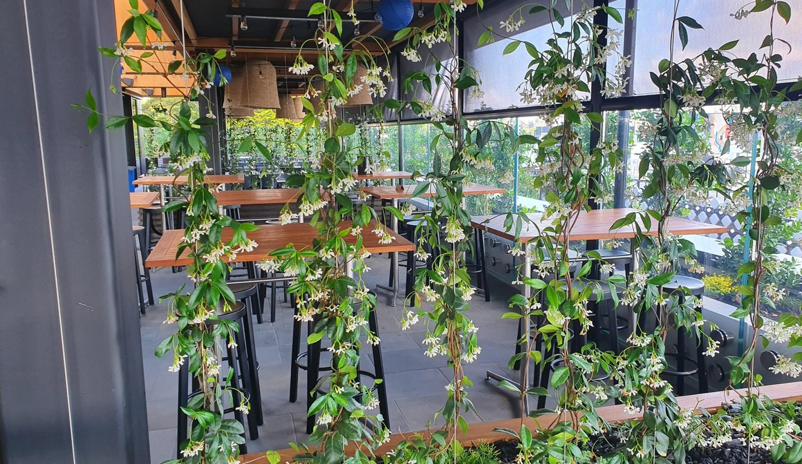 Plant Installations On Wires | ArchiPro NZ