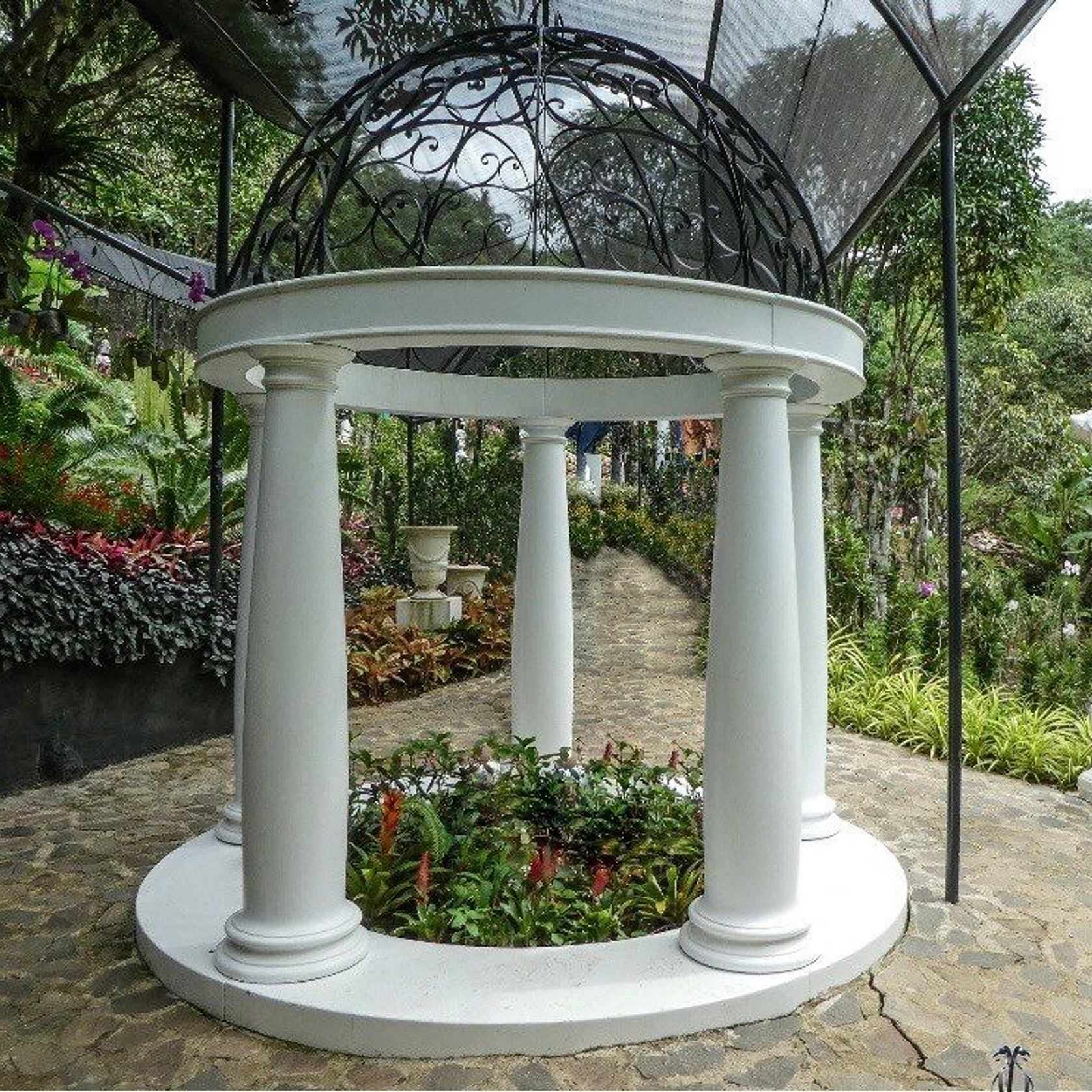 Rotunda Pergola | ArchiPro NZ