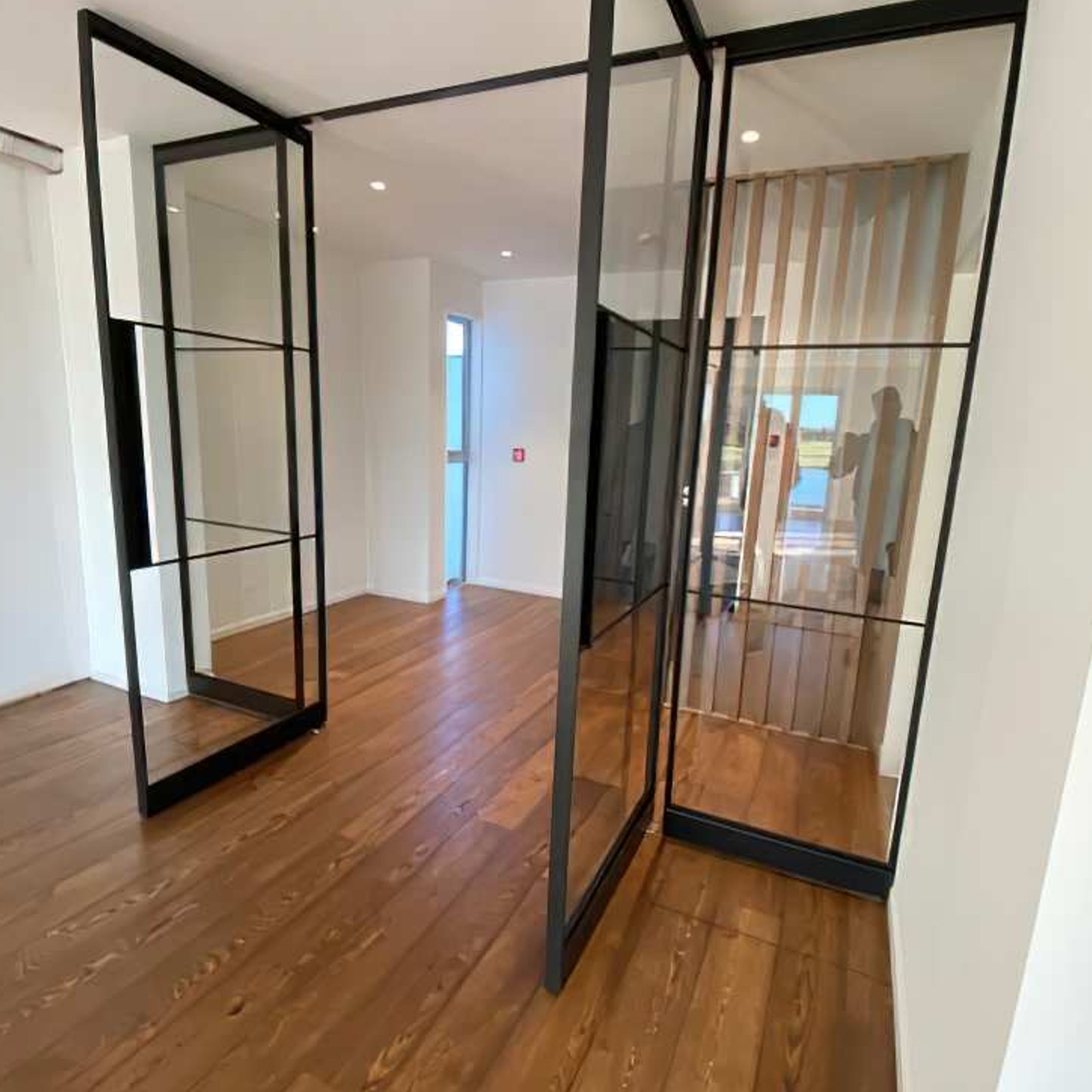 Pivot Steel Doors | ArchiPro NZ