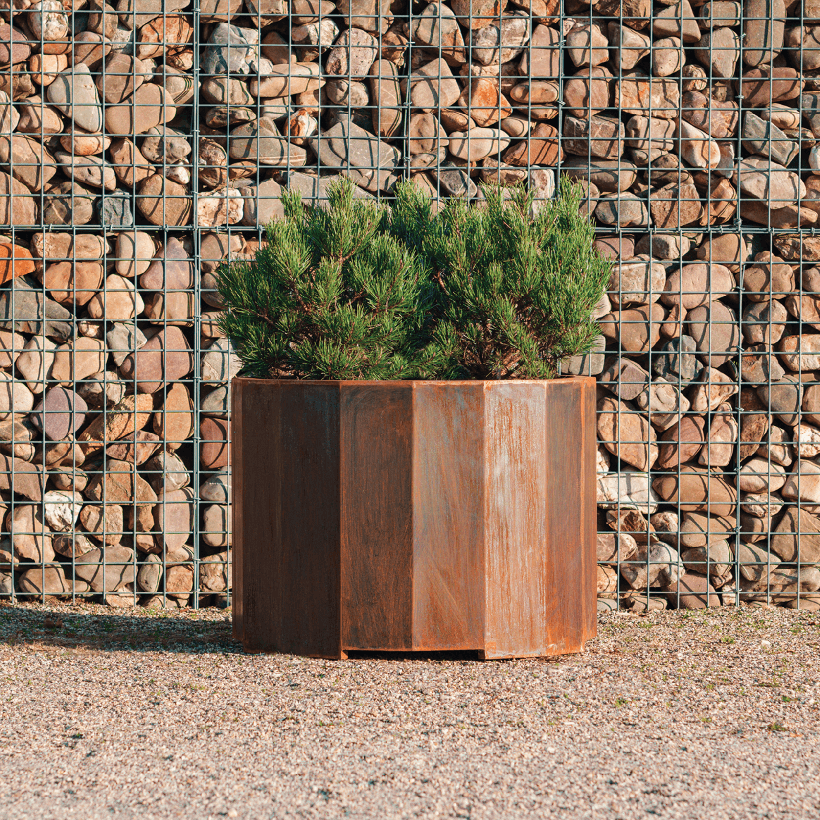 Boxer Planter | ArchiPro NZ