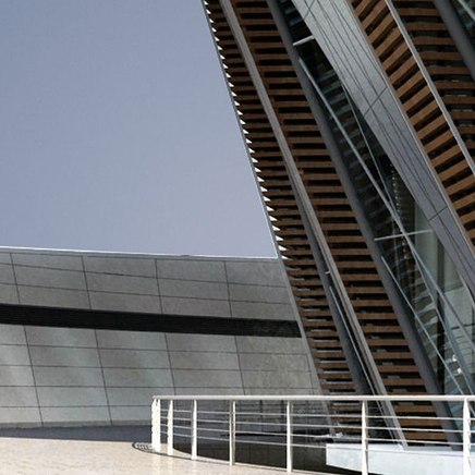 Rieder | Concrete Skin / OKO Skin | ArchiPro NZ