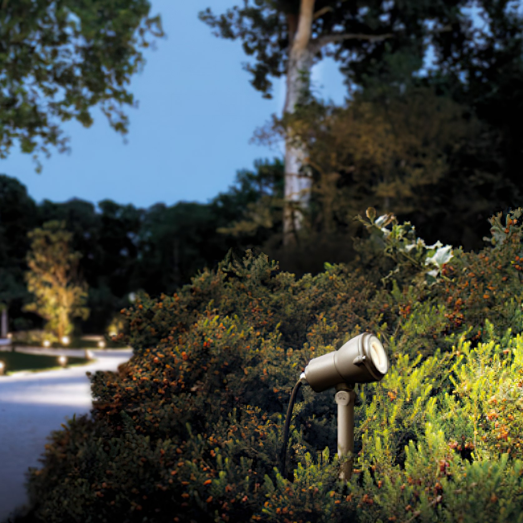 Focus Adjustable Light Projector | ArchiPro NZ