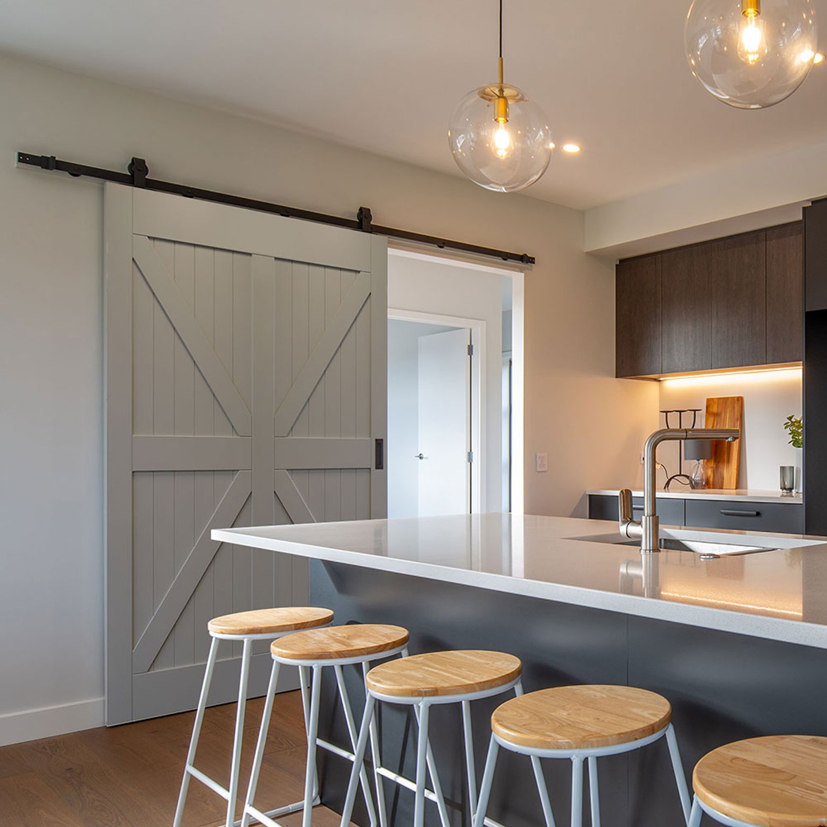 Mackenzie Barn Door Range | ArchiPro NZ