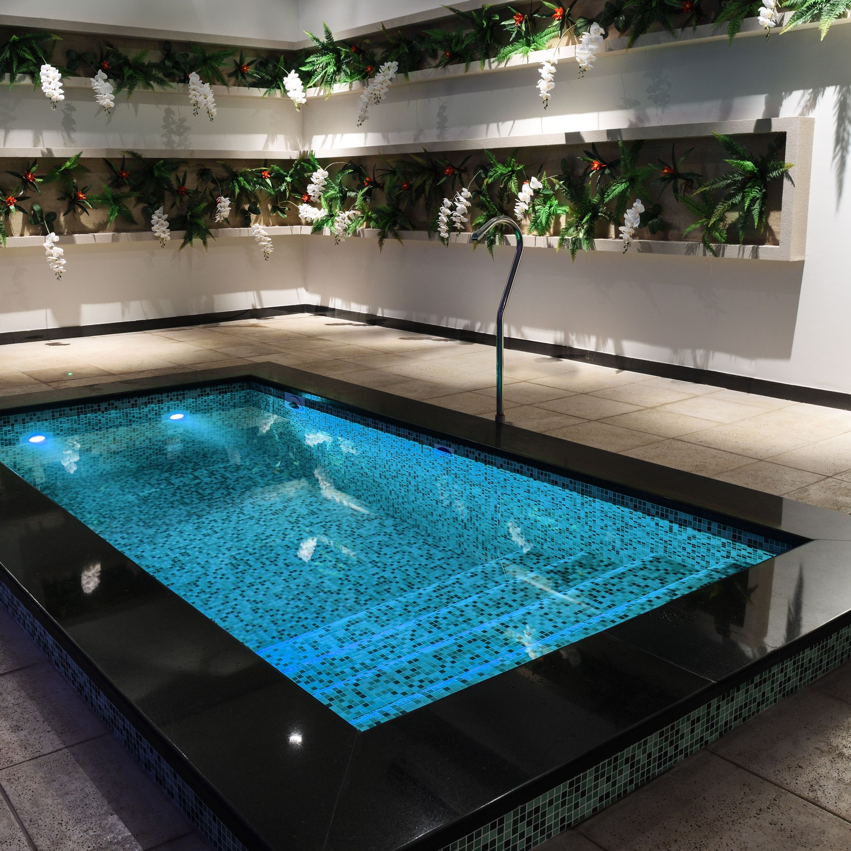 Unlimited 4 & 5 Metre Plunge Pools | ArchiPro NZ