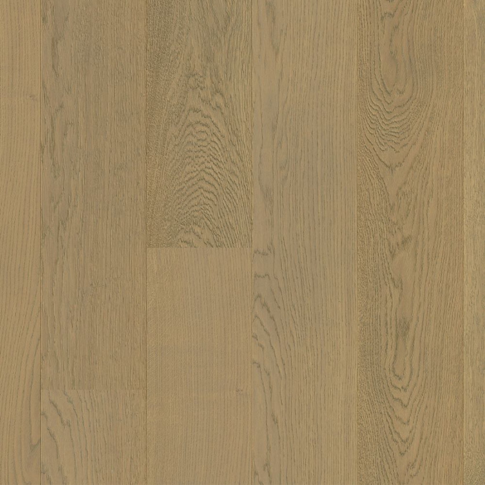 Quick-Step Faro Fossil Oak Extra Matt Timber Flooring | ArchiPro NZ