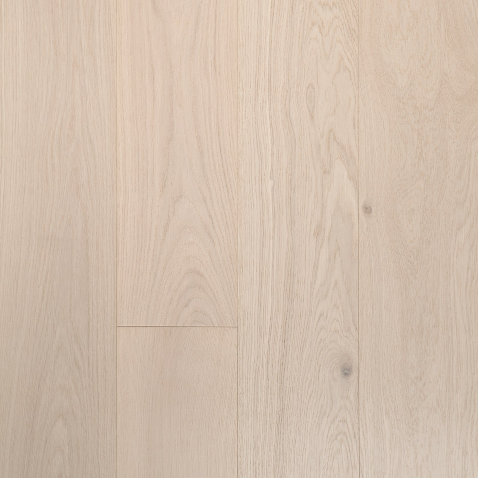 ELZA TRUNK Timber Flooring | ArchiPro NZ