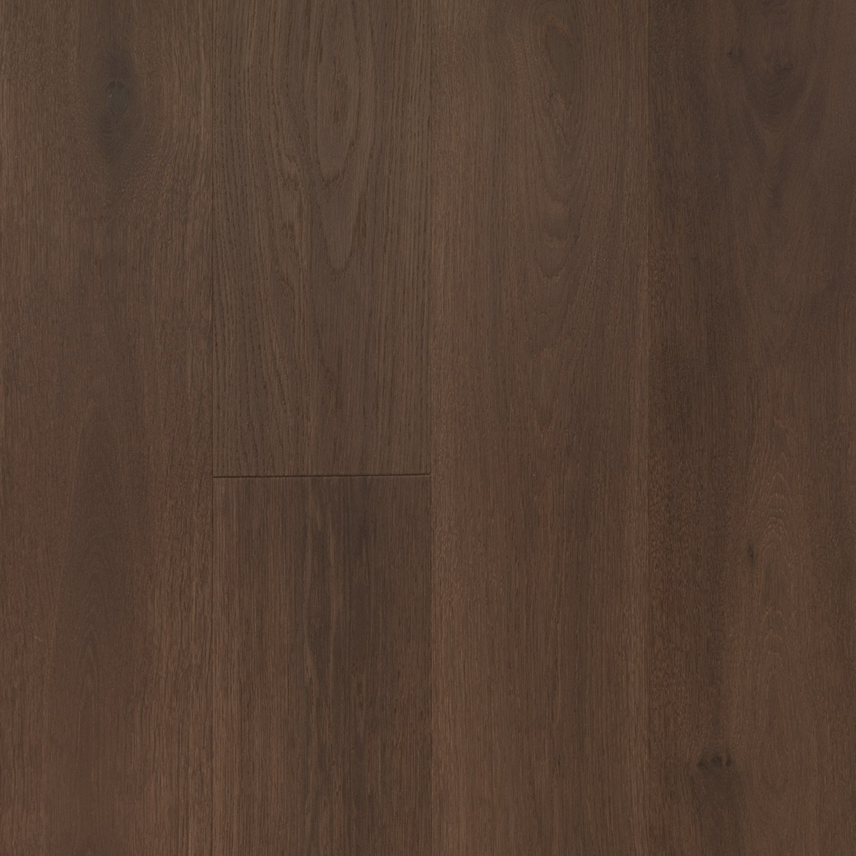 BOSKO TRUNK Timber Flooring | ArchiPro NZ