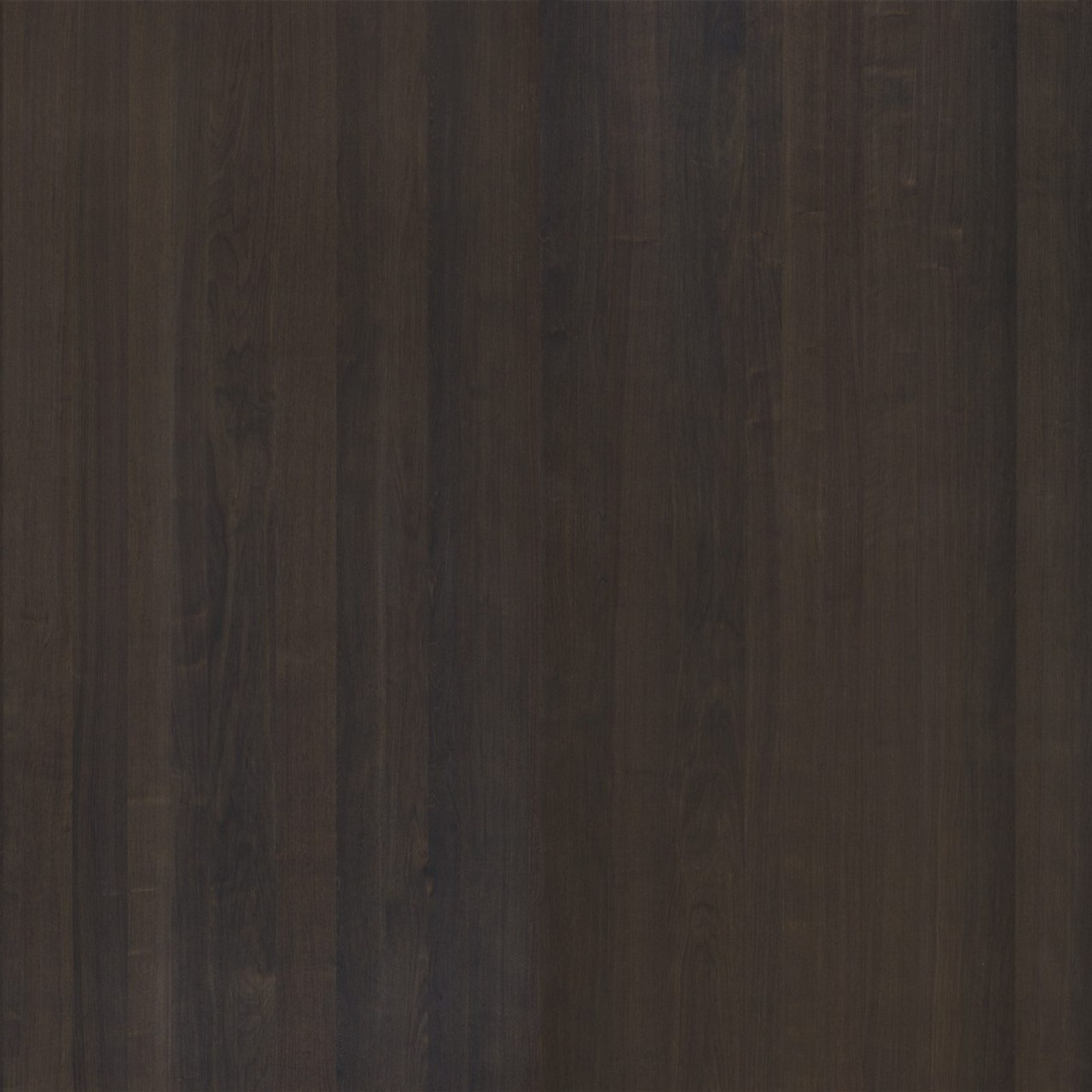 Stardust Walnut Shinnoki Prefinished Timber Veneer | ArchiPro NZ