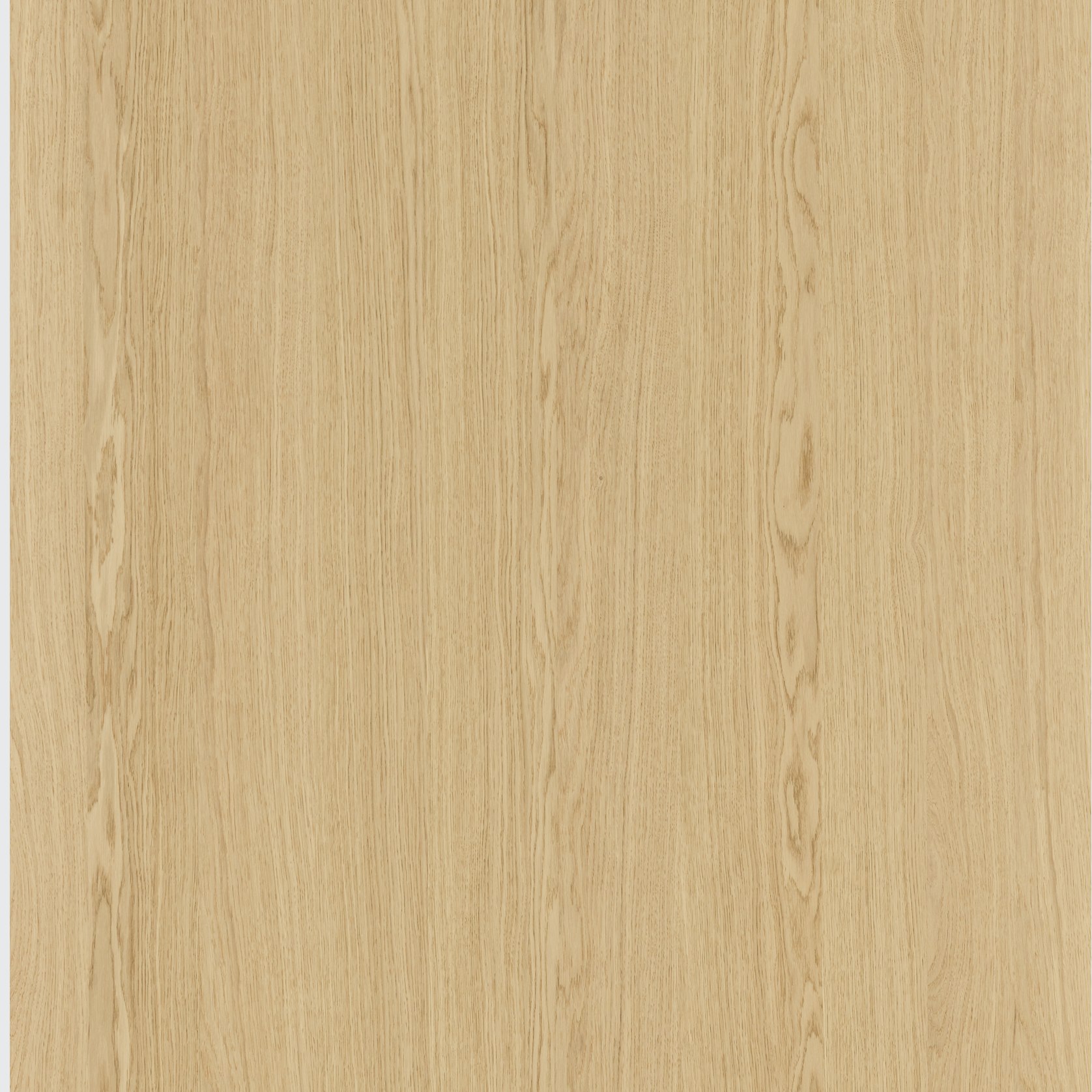 Ivory Oak Shinnoki Prefinished Timber Veneer | ArchiPro NZ