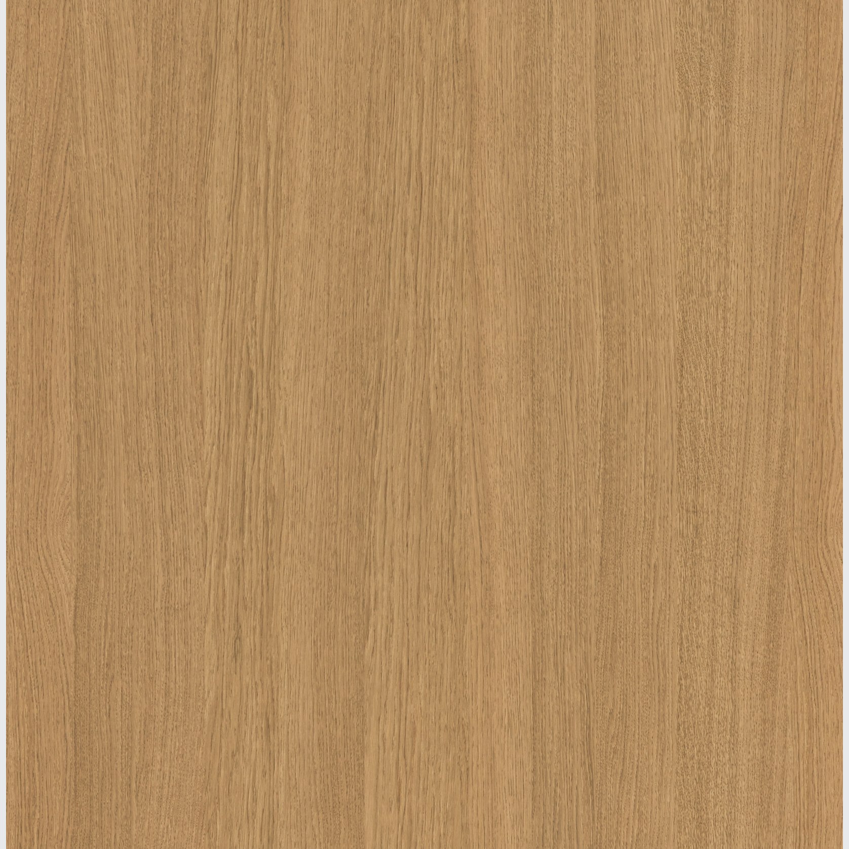 Sahara Oak Shinnoki Prefinished Timber Veneer | ArchiPro NZ