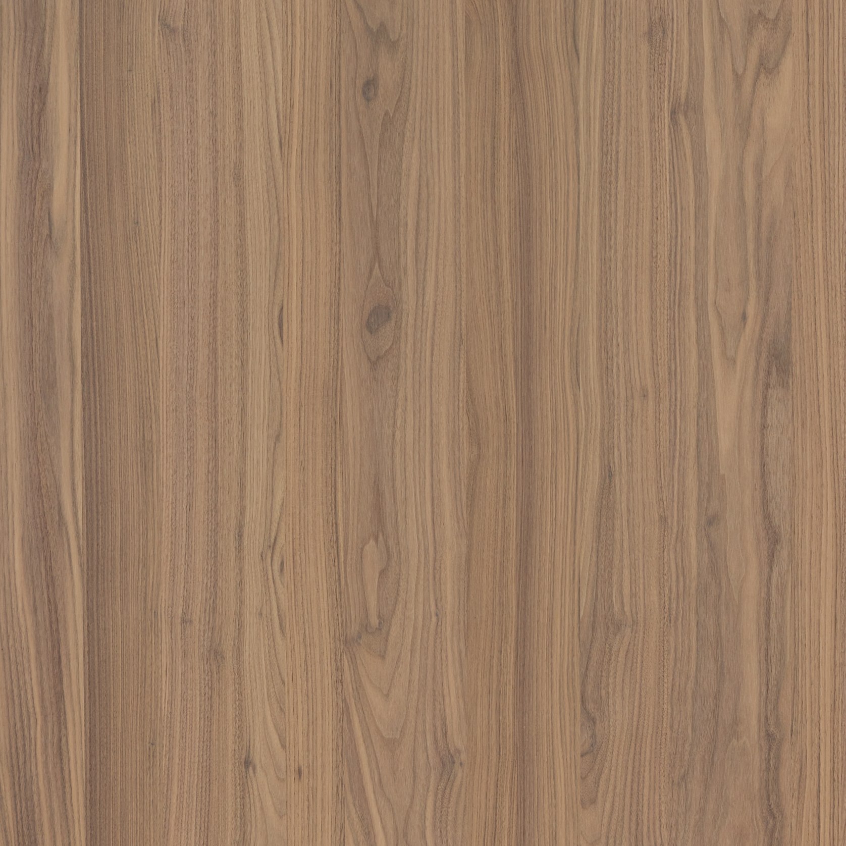 Frozen Walnut Shinnoki Prefinished Timber Veneer | ArchiPro NZ