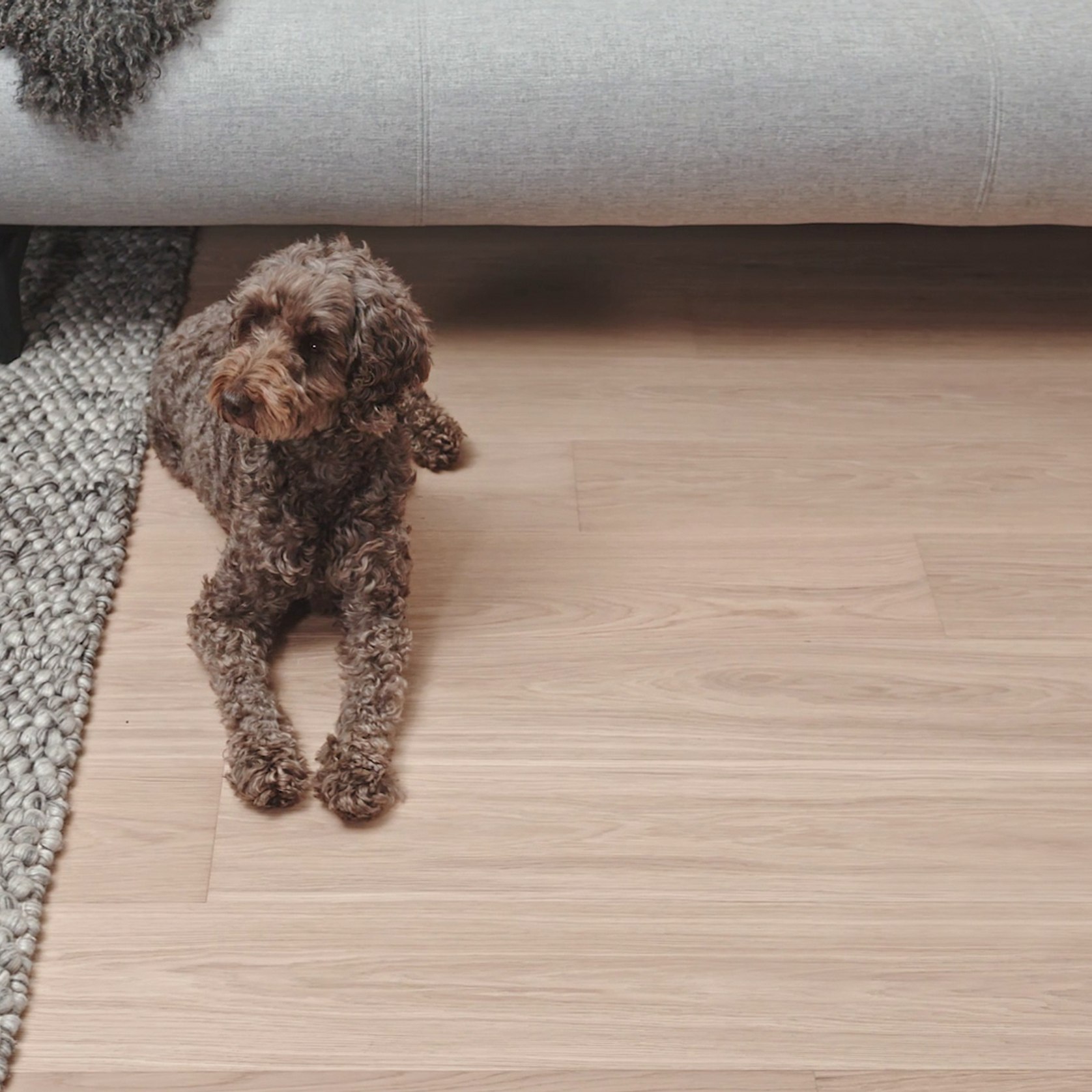 Moda Flooring Collection | ArchiPro NZ