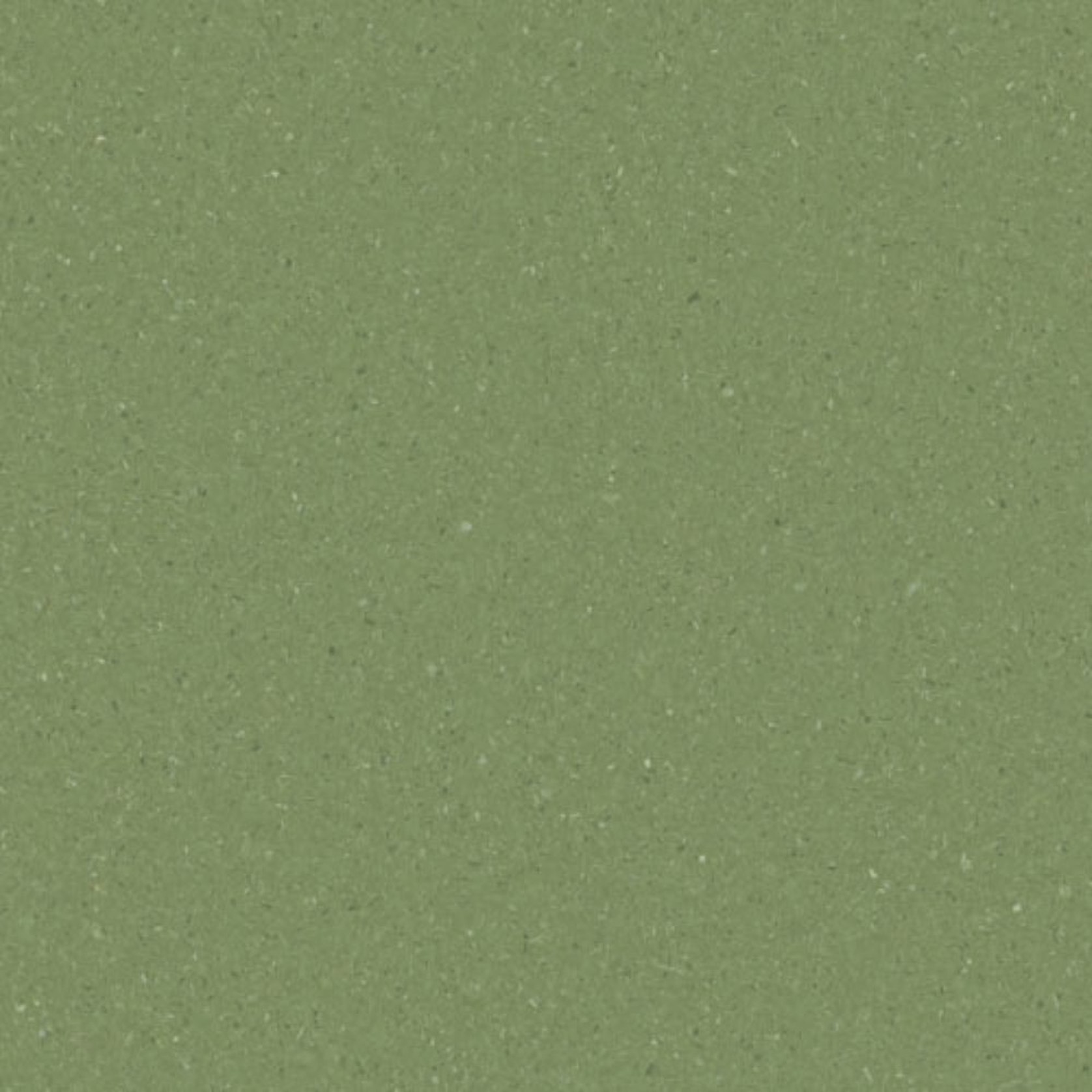 Accolade Plus | Mossman | ArchiPro NZ