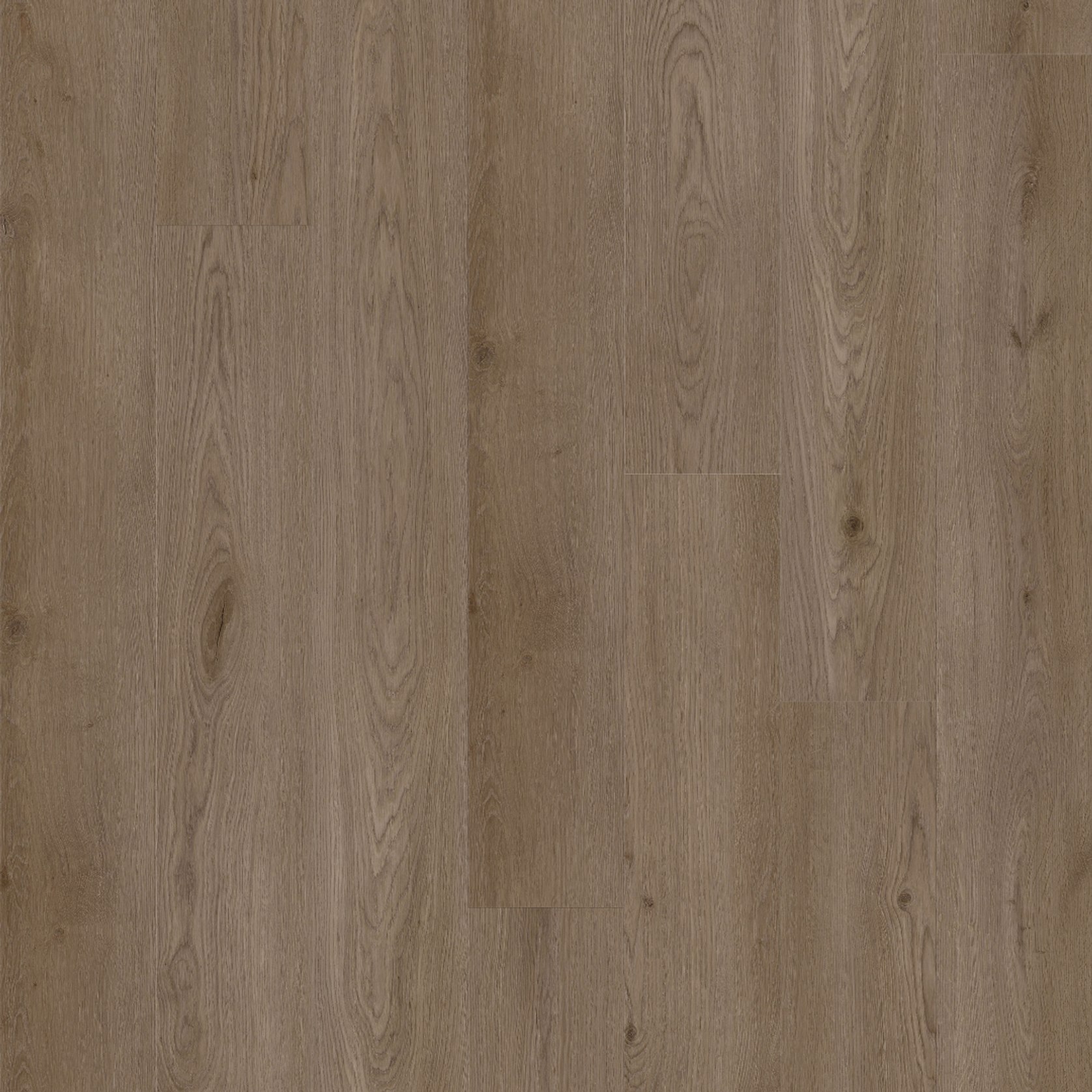 Kingswood Select Oak | Malt Oak | ArchiPro NZ