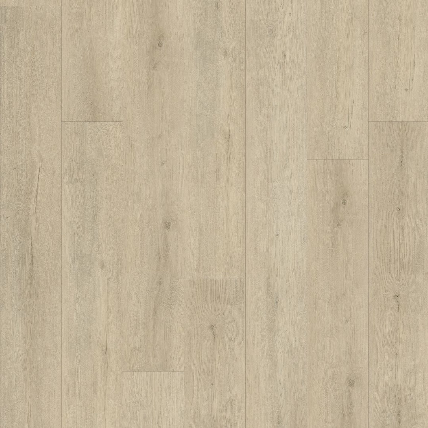 Natural Creations Longplank | Sun Bleached Oak | ArchiPro NZ
