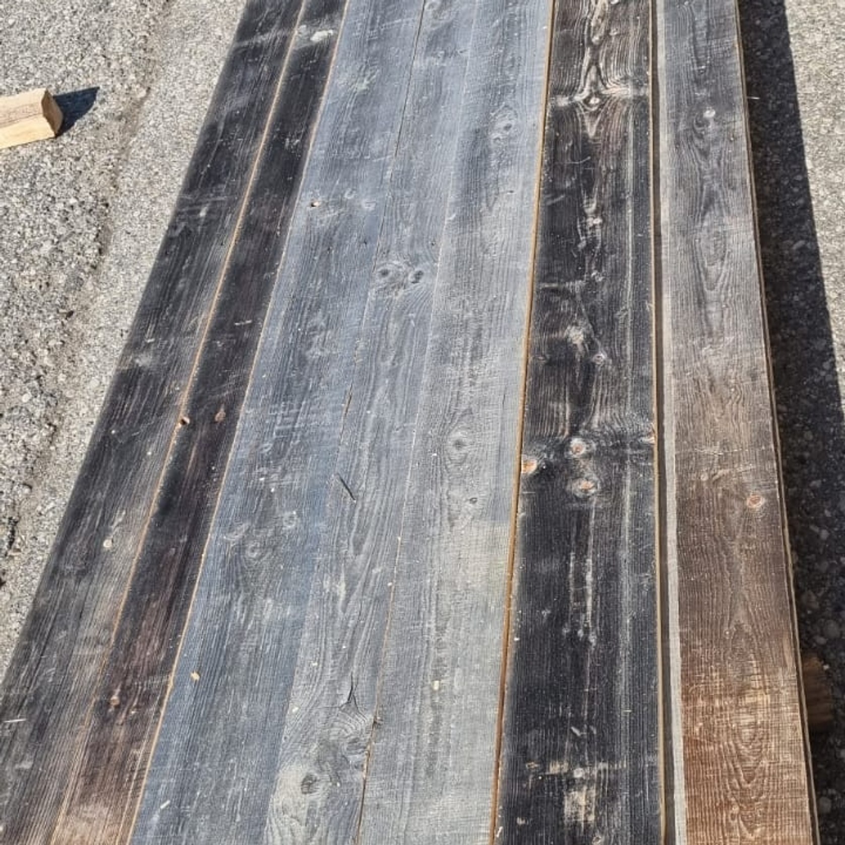 Baltic Pine | ArchiPro NZ