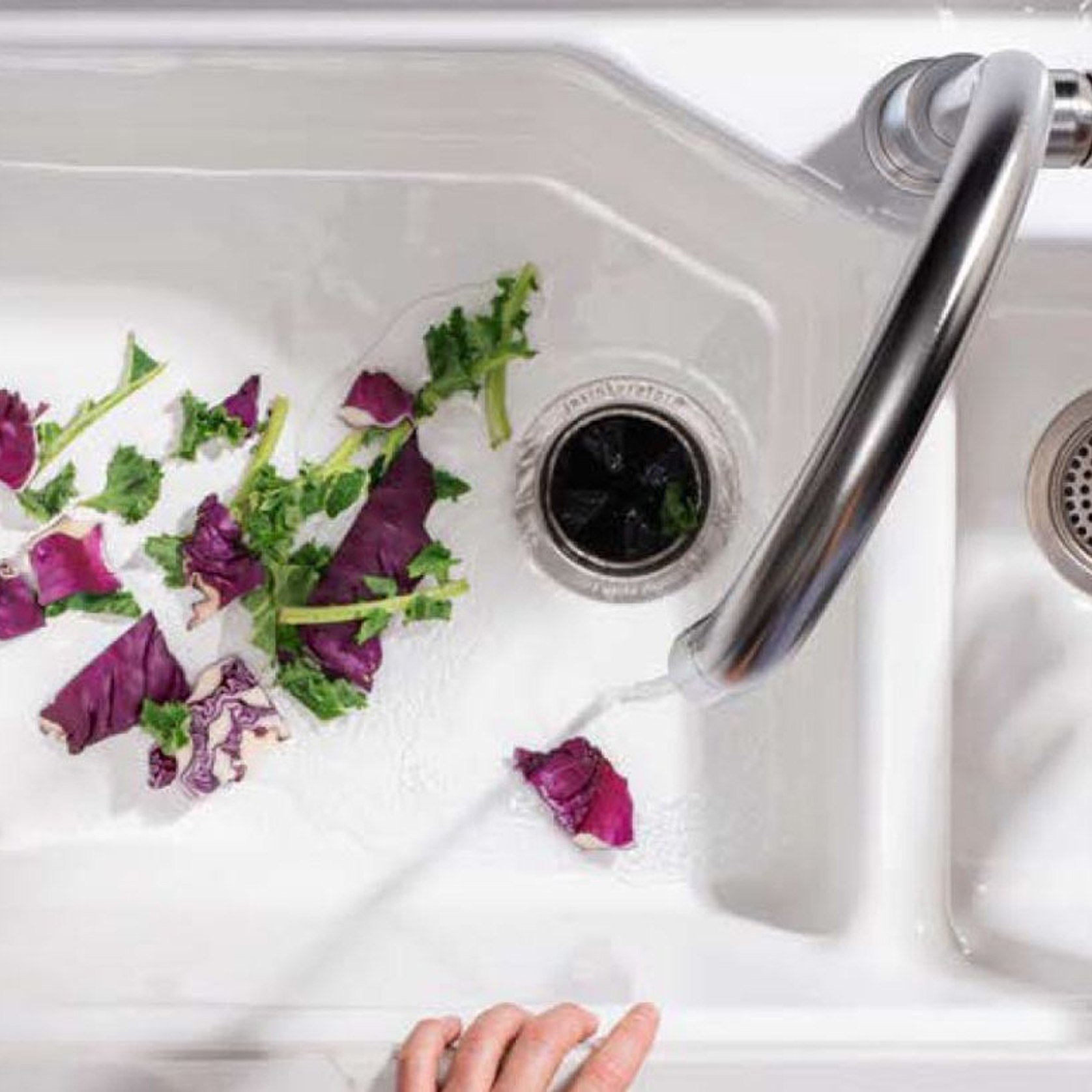 Evolution 200 | Food Waste Disposer | ArchiPro NZ