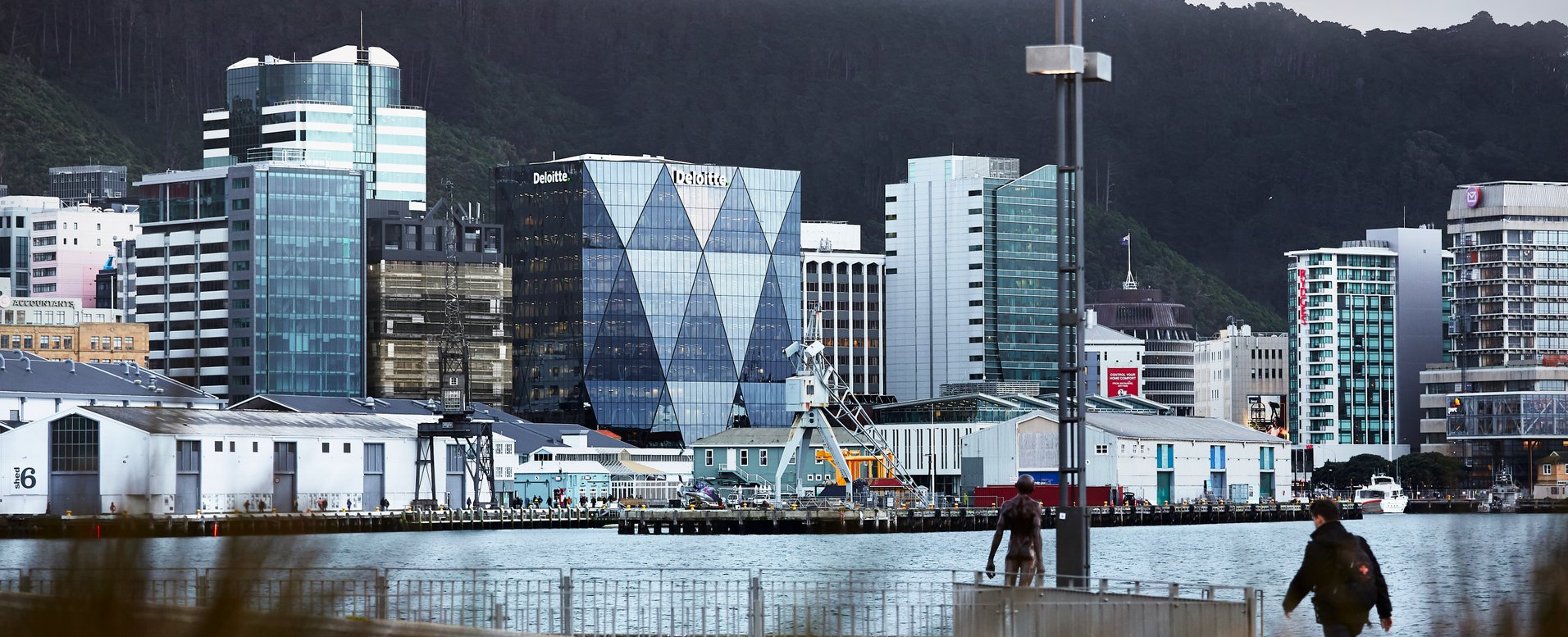 Studio Pacific Architecture | ArchiPro NZ