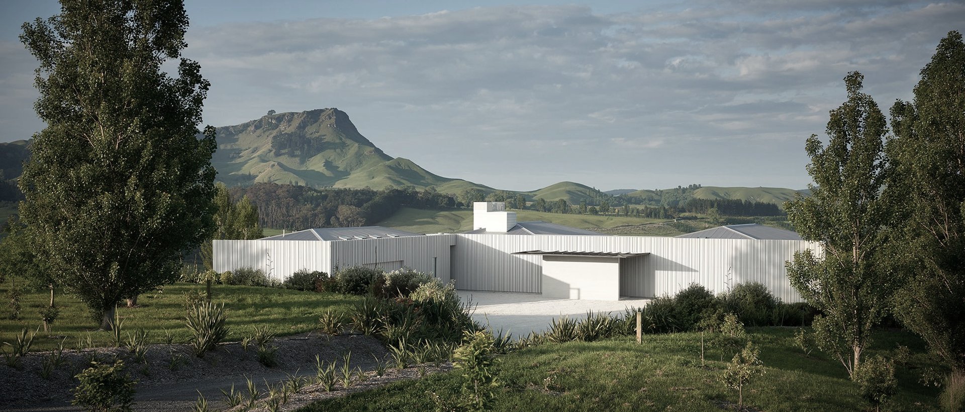 Andy Coltart Architecture & Development