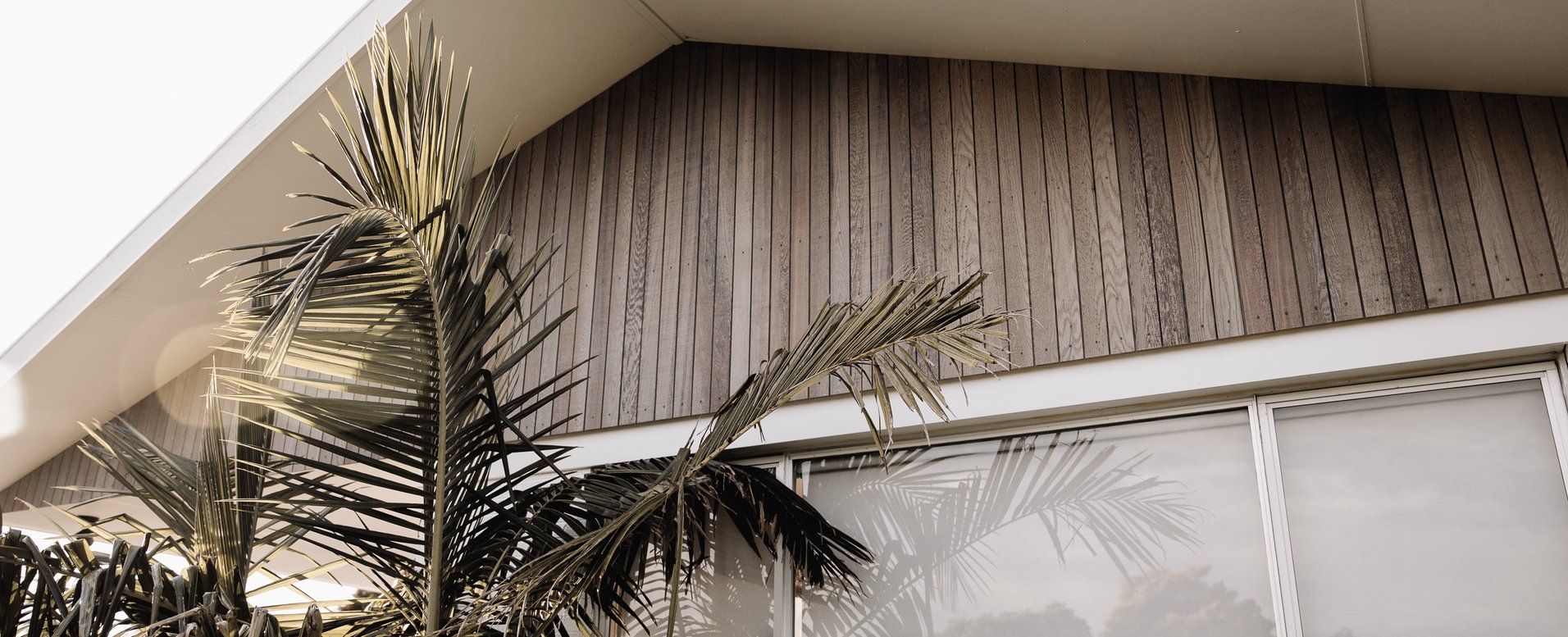 Solid Build | ArchiPro NZ