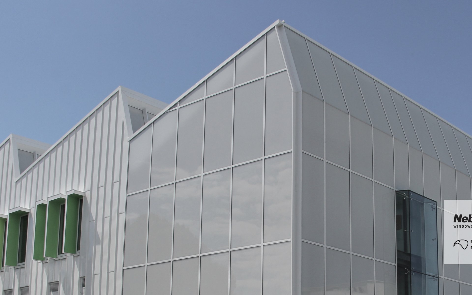 Nebulite™ Windows & Doors Tauranga