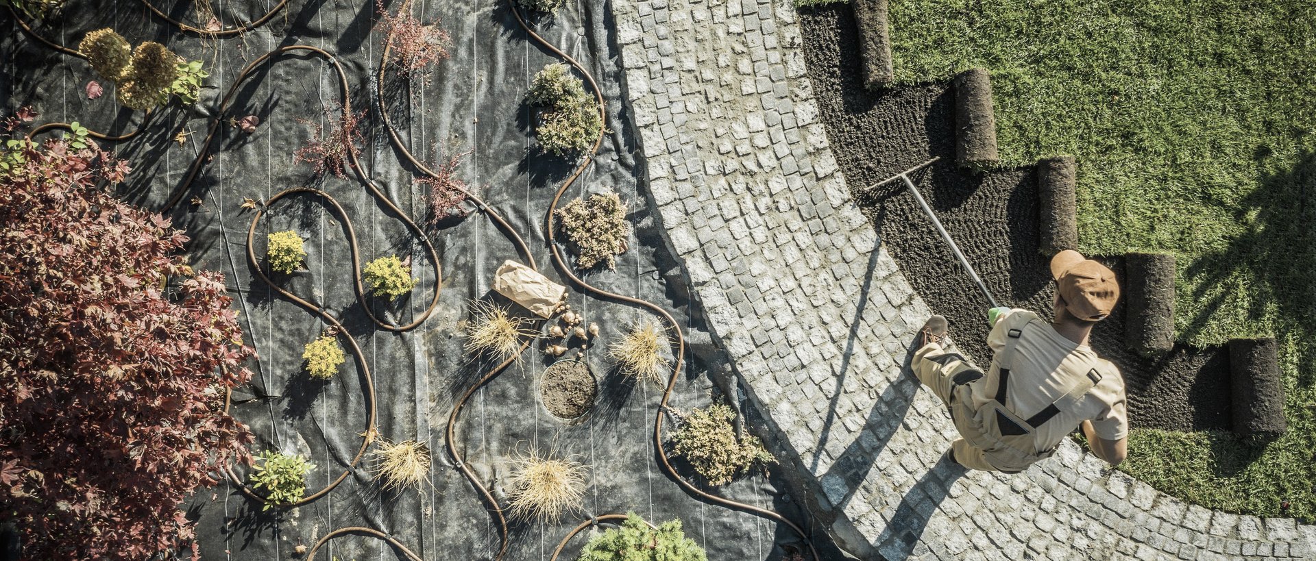 Meg Kane Landscape Architect