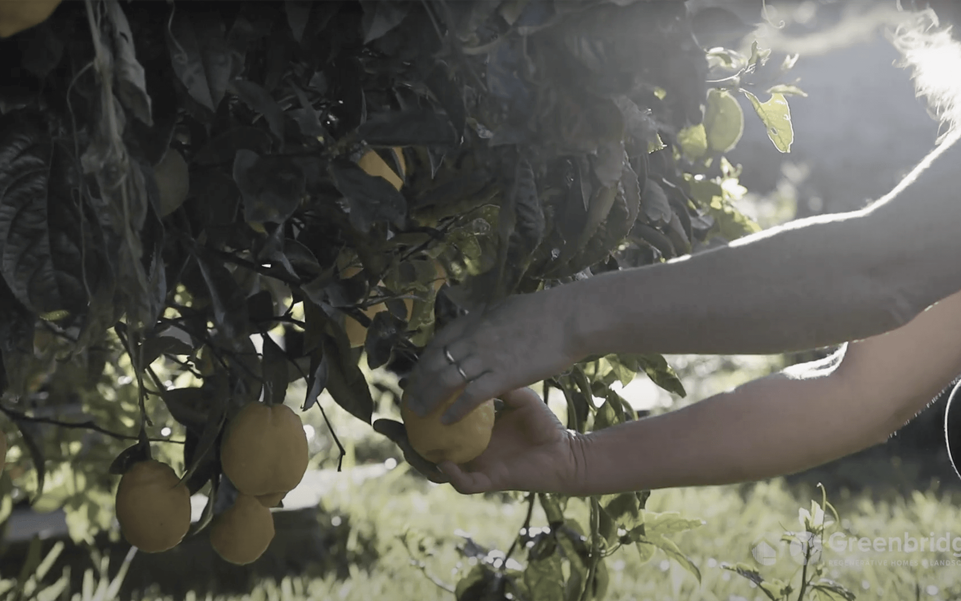 Greenbridge Homes & Landscapes