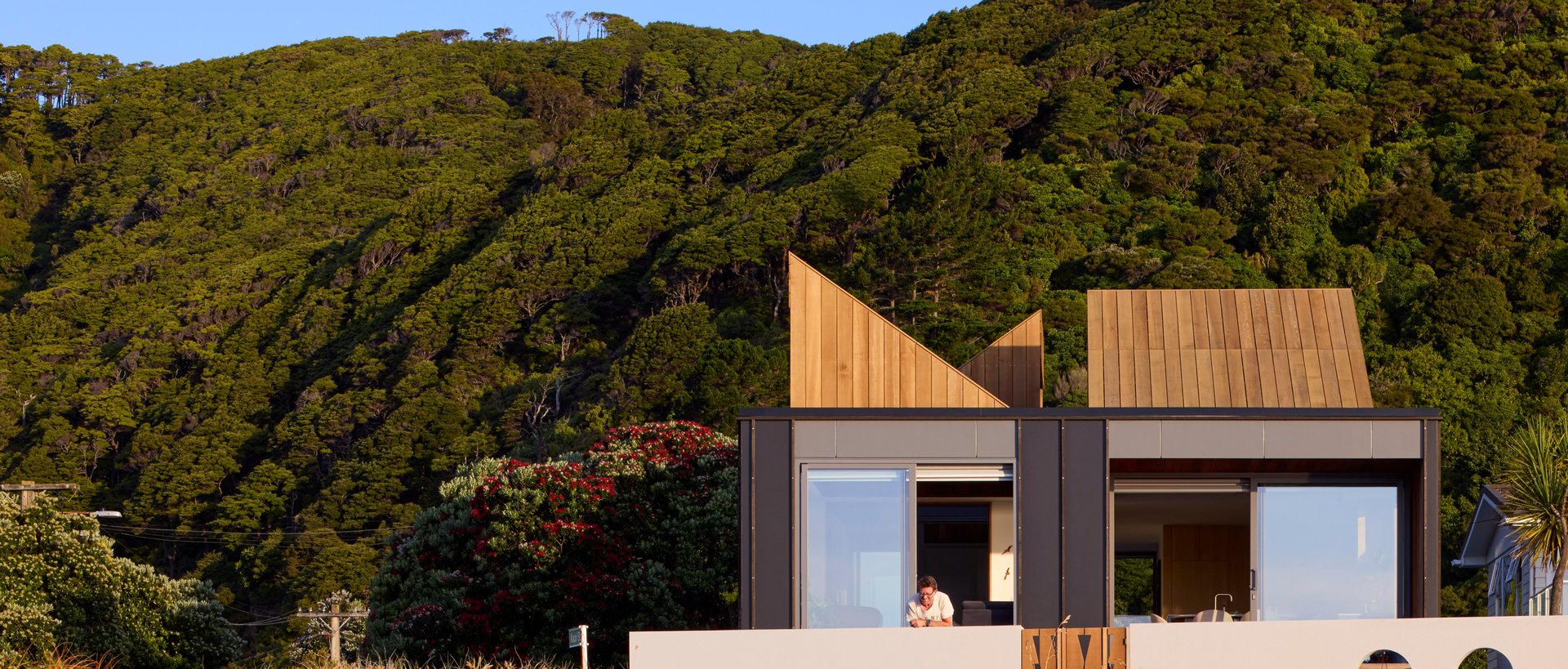 Kauri House by SpiceBuild | ArchiPro NZ