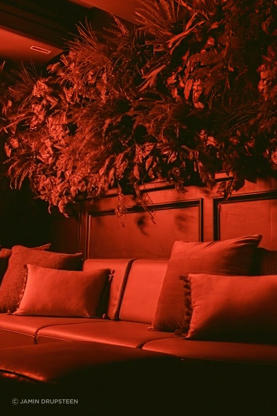 The Cellar Bar - Burning Red Design | ArchiPro NZ