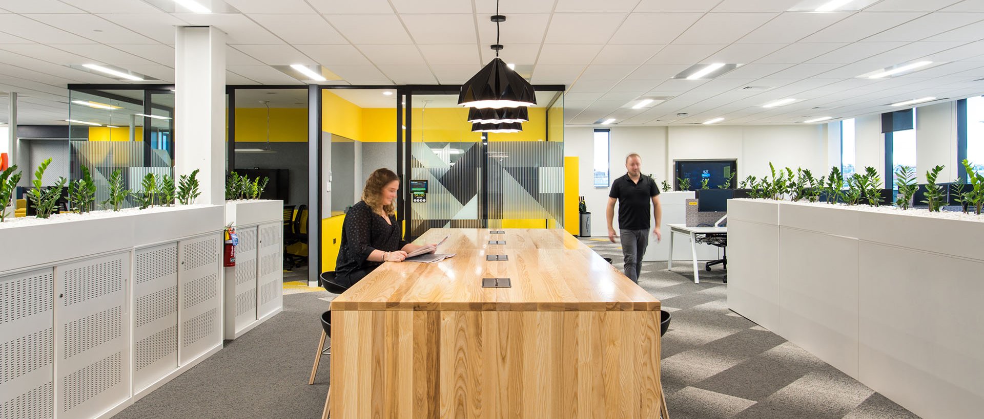 EY by Cachet Group | ArchiPro NZ