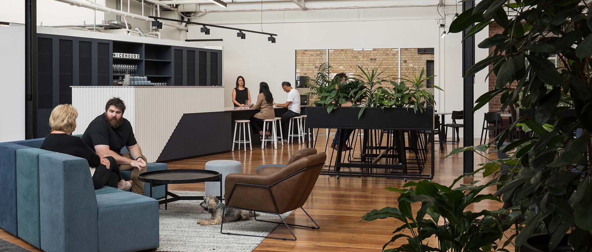 The Icehouse by Cachet Group | ArchiPro NZ