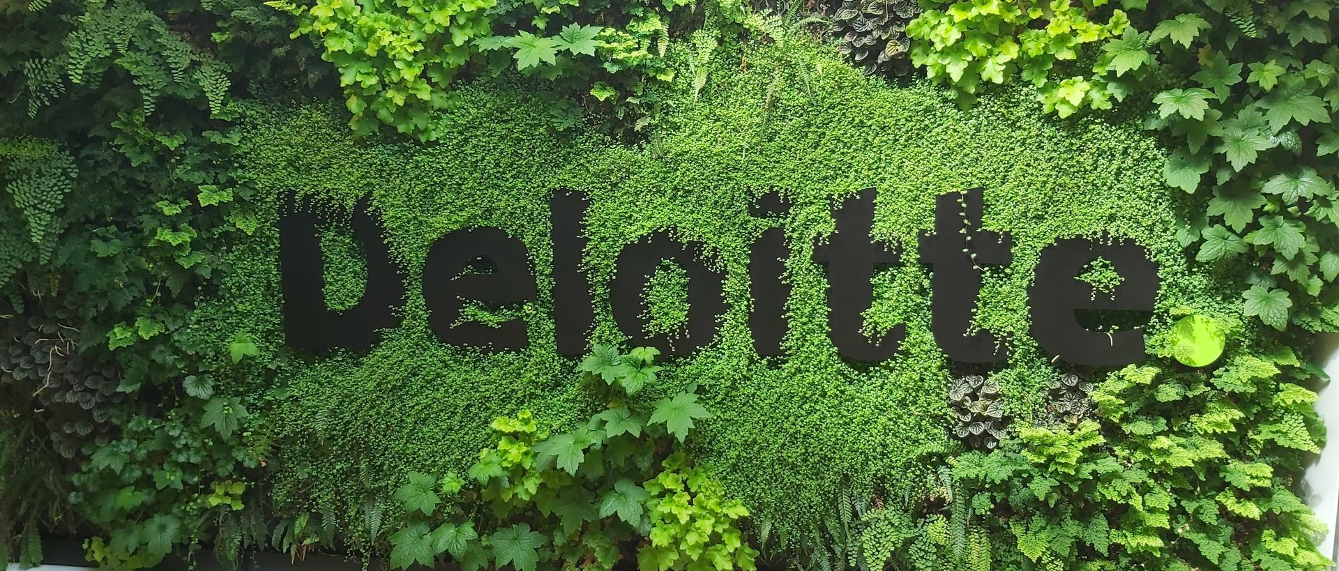 Deloitte Green Wall, Dunedin by Natural Habitats Landscapes | ArchiPro NZ