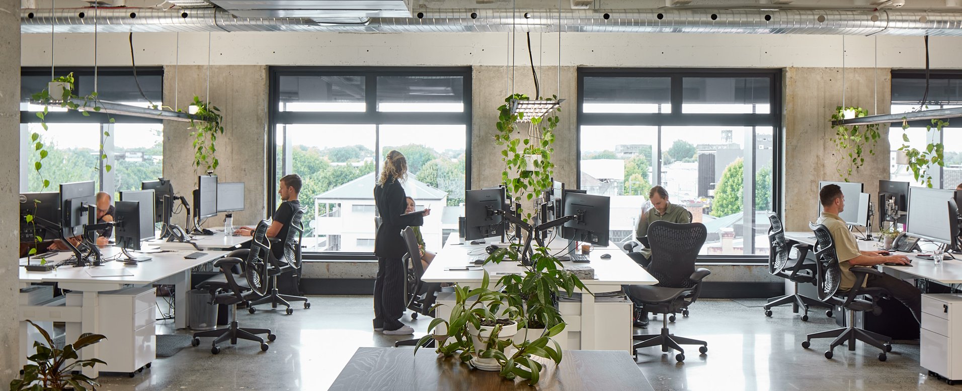 EWA Studio by Edwards White Architects | ArchiPro NZ