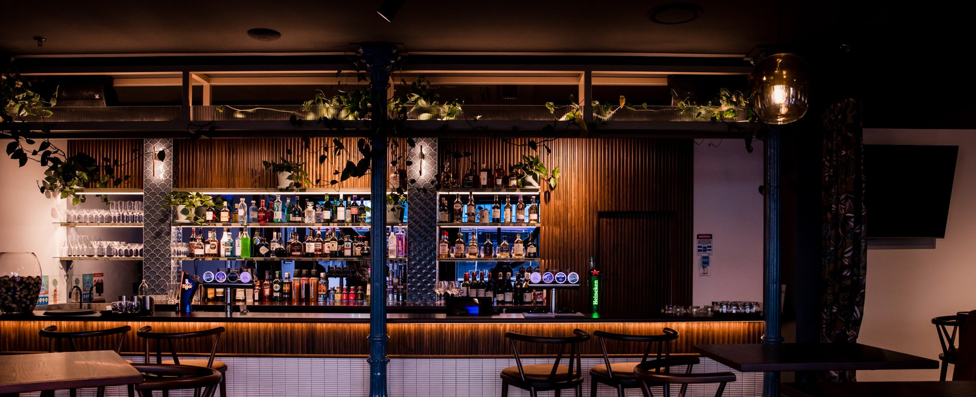 Hoi Polloi by Kathryn Taylor Photography | ArchiPro NZ