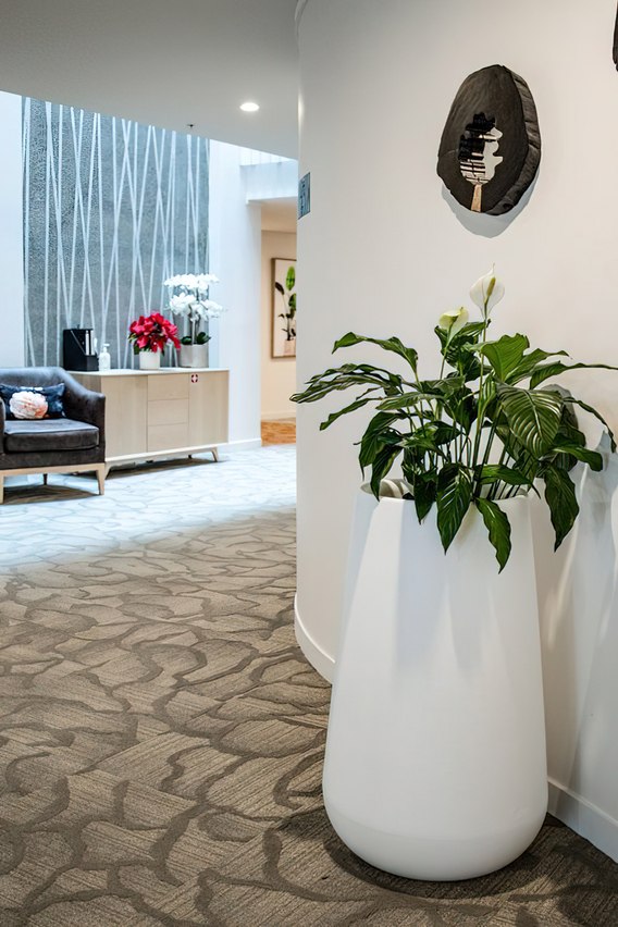 Everil Orr Indoor Plants - Grasshopper Gardens | ArchiPro NZ