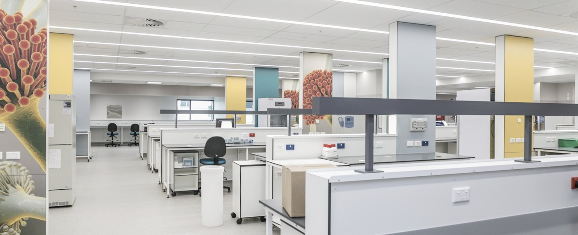 Middlemore Hospital by Silk Design & Build | ArchiPro NZ