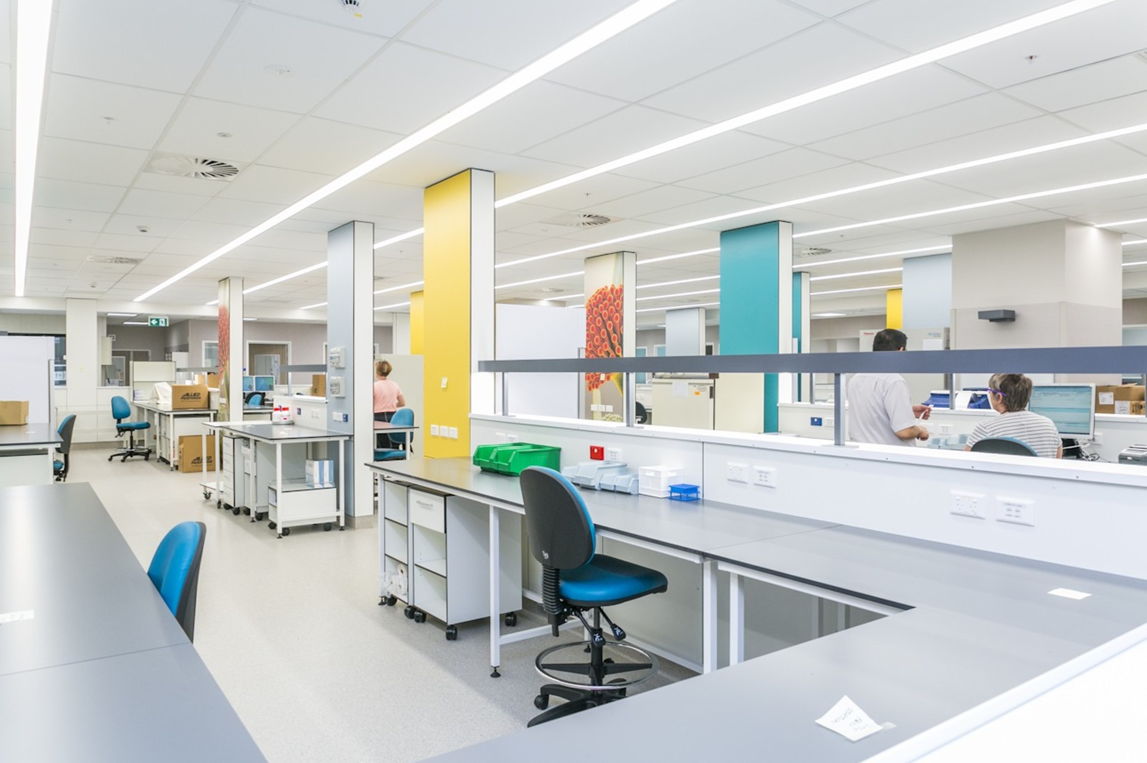 Middlemore Hospital - Silk Design & Build | ArchiPro NZ