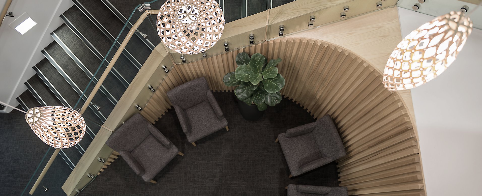 Southern Cross Hospital - Image Construction | ArchiPro NZ