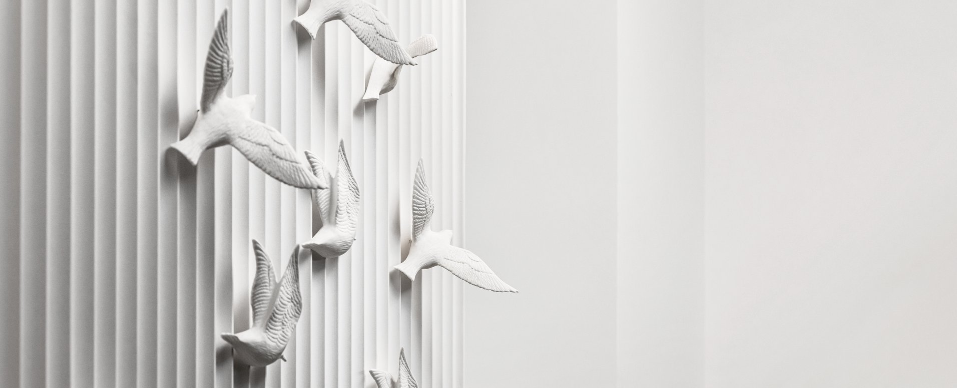 Tui House by Fabit Film & Photo | ArchiPro NZ