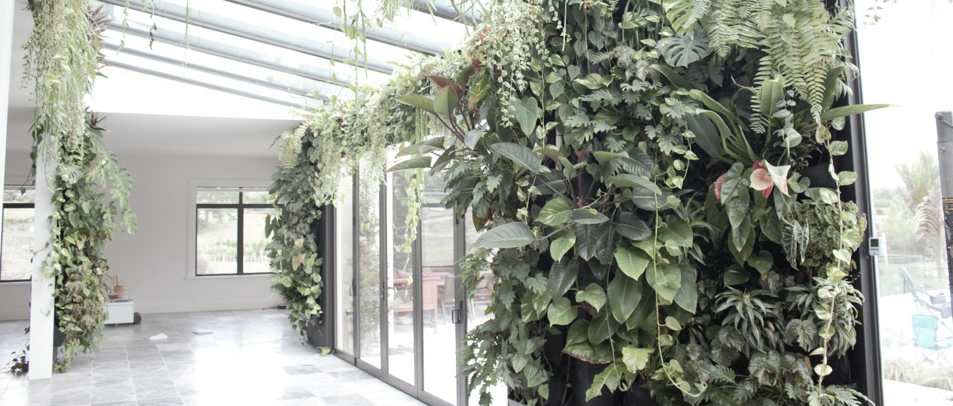 Private Home - Live Plant Wall Installation by Hire Plants | ArchiPro NZ